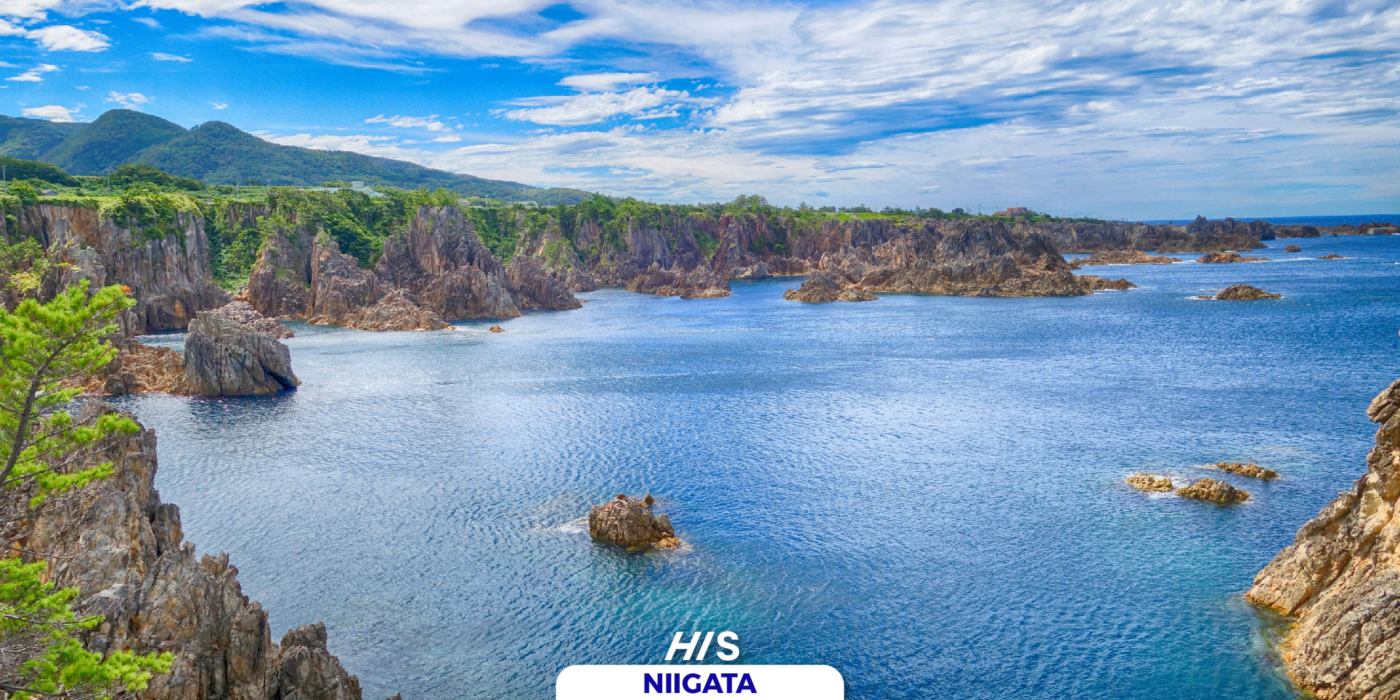 Blog | Niigata, Japan