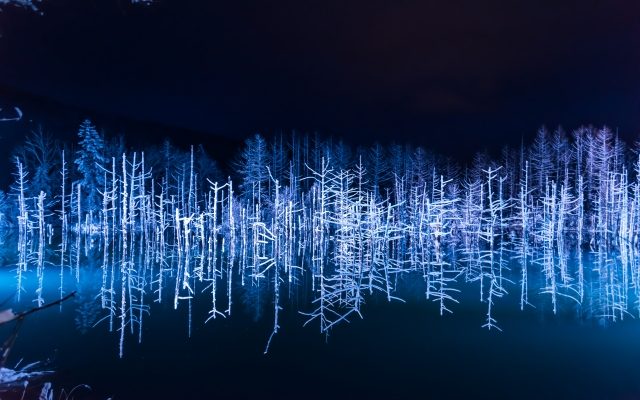 Plan your dream trip to Japan